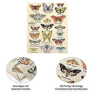 Lourny 3Pcs Flower Tapestry Wall Hanging - Wildflower Plant Floral Fruit Tapestry Butterfly Botanical Small Tapestries for Bedroom Living Room