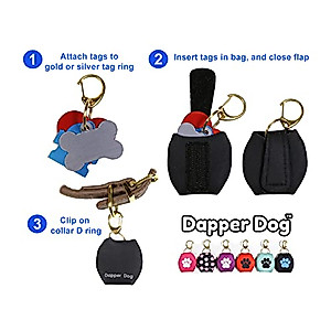 Dapper Dog Dog Tag Silencer with Gold and Silver Kwik Clips and Gold and Silver Tag Rings (Teal with Black Paw)