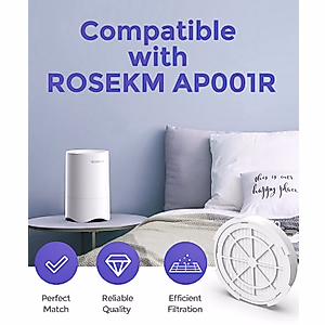 ROSEKM 1-Year Pack Air Purifier Replacement Filter for AP001R, True HEPA Filter, 4 Pack