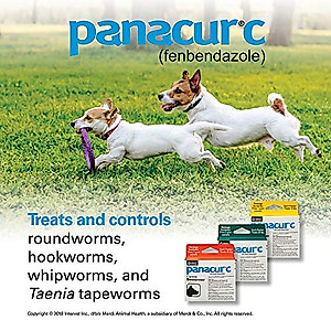 Panacur C Canine Dewormer (Fenbendazole), 4 Gram,Red