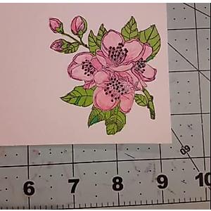KWELLAM Flowers Clear Stamps for Card Making Decoration and DIY Scrapbooking