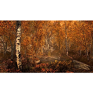 Elder Scrolls V: Skyrim Special Edition (PS4)