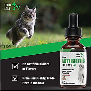 Leo & Lola Natural Cat Antibiotic : Antibiotics for Cats : Cat Antibiotics : Antibiotic for Cats : Cat Antibiotics for UTI : Cat UTI : Cat UTI Treatment : Cat UTI Antibiotics : 1 fl oz