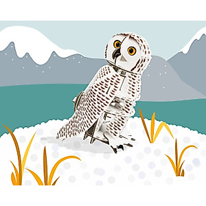Build Your Own Moving Snowy Owl - Rotating Head Action - Eco Friendly Cardboard Craft Kit - Ages 8+