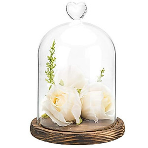 MyGift 6 Inch Small Clear Glass Cloche Bell Jar Display Case with Heart Top Handle and Dark Brown Wooden Base