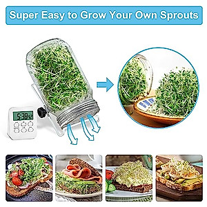 Sprouting Kit, 2 Stainless Steel Sprouting Lids for Regular and Wide Mouth Mason Jars, Sprouts Growing Kit with Timer, 2 Tray, Sprouting Jar Stand for Bean Sprout, Alfalfa, Broccoli (Not Include Jar)