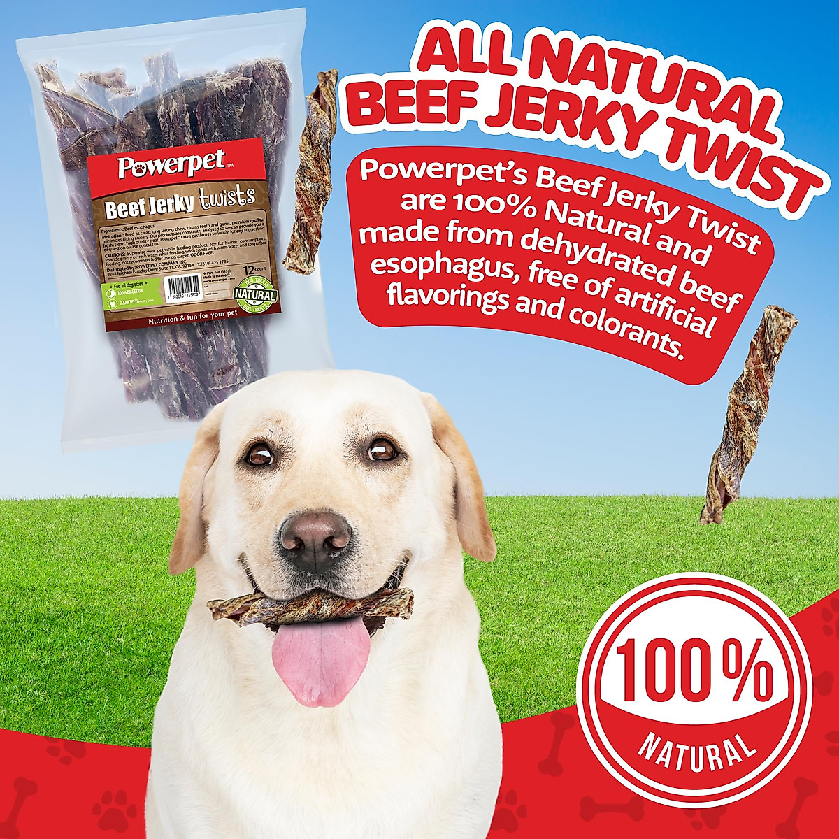Powerpet Treats Beef Jerky Twists - 100% Natural Dog Chews - High Protein, Low Fat - Made from Premium Beef Esophagus - Promotes Dental Health - Long-Lasting Treats - Great for All Breeds - Pack of 12