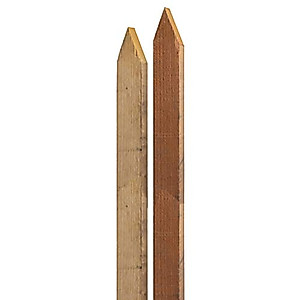 Bond Manufacturing Co 94006 4ft x 3/4in Packaged Hardwood Stakes, 0.75" x 0.75" x 4', Natural