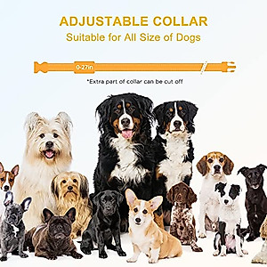 PATPET Dog Training Collar with Remote - Rechargeable Shock Collar for Medium Large Dogs 1000Ft Remote Range 3 Training Modes
