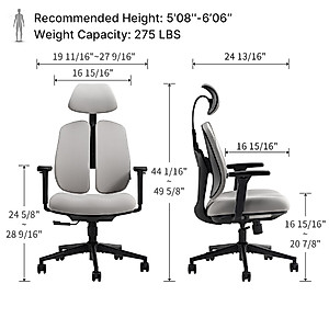 EUREKA ERGONOMIC Ergonomic Office Chair with Back Support, Home Office Desk Chairs Dual Backrests Office Chair, Executive Office Chair Adjustable Arms, Best Office Chair for Lower Back Pain, Beige