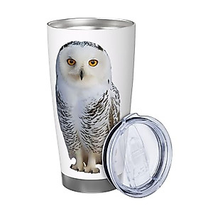 jshmgchw 3d Owl 20oz Tumbler, Car Cup With Lid And Straw, Spill-Proof, Stainless Steel Double Wall Vacuum Insulated Reusable Coffee Travel Mug, For Cold Drinks, Hot Beverage