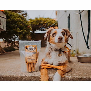 BRUTUS & BARNABY USA Sweet Potato Dog Treats - Grain Free, Pumpkin Bacon Crunchy Sticks - Great Tasting, Promotes Positive Dog Gut Health with Natural Anti-Diarrhea Properties, No Preservatives Added