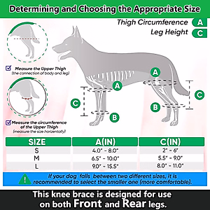 Premium Dog ACL Knee Brace for Torn ACL Hind Leg Support - Cruciate Care & Recovery, Adjustable Leg Braces for Back Leg, Hip Support - Small, Medium, Large Sizes with Extra Stabilizers (Black, L)