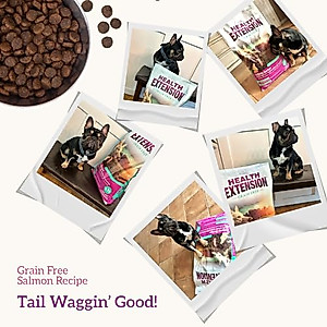 Health Extension Dry Dog Food, Natural with Added Vitamins & Minerals, 1 lb / 0.45 kg, Grain Free, Salmon & Sweet Potato Recipe with Vegetables & Berries for All Puppies