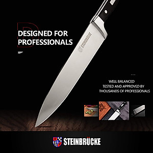 STEINBRÜCKE Chef Knife 10 Inch, Sharp Kitchen Knife Forged from German High Carbon Stainless Steel with Ergonomic Handle and Full Tang, Versatile Cooking Knife for Home Gourmet Restaurant