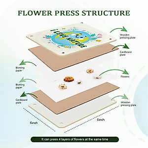 Aboofx Flower Press Kit for Kids 4 Layers 6 x 6 Inch, Recycle Flower Arts and Crafts Kits for Flower Pressing Drying Book, Surprise for Boys and Girls