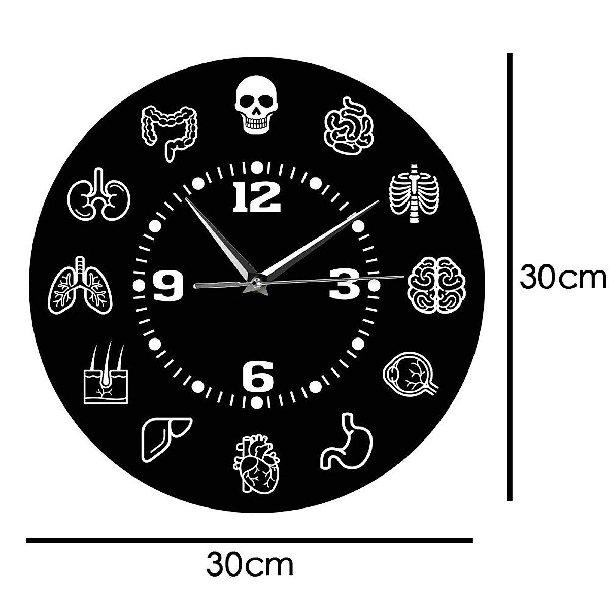The Geeky Days Human Body Internal Organs Anatomy Wall Clock Anatomical Medical Wall Art Silent Sweep Wall Watch Doctors Biology Student Gift