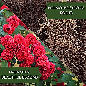 BioAdvanced All-In-One Rose and Flower Care I, Granules for Insects 4 lb