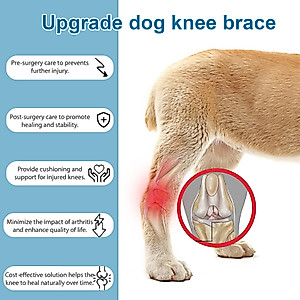 vurfoo Dog Knee Brace for Torn ACL Hind Leg, Dog ACL Brace Hind Leg Hip Rear Legs Support Brace, Adjustable Dog Brace for ACL Tear Back Leg for Luxating Patella (Small)