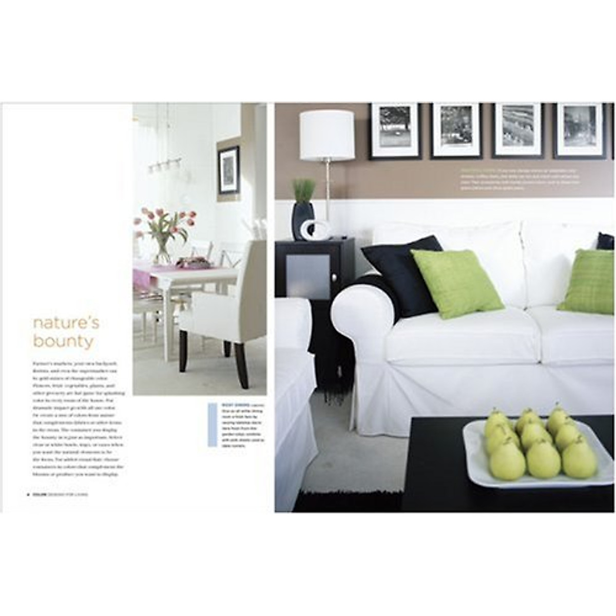 Color Designs for Living