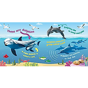 First Animal Facts: Ocean-5 Button Animal Sounds Book