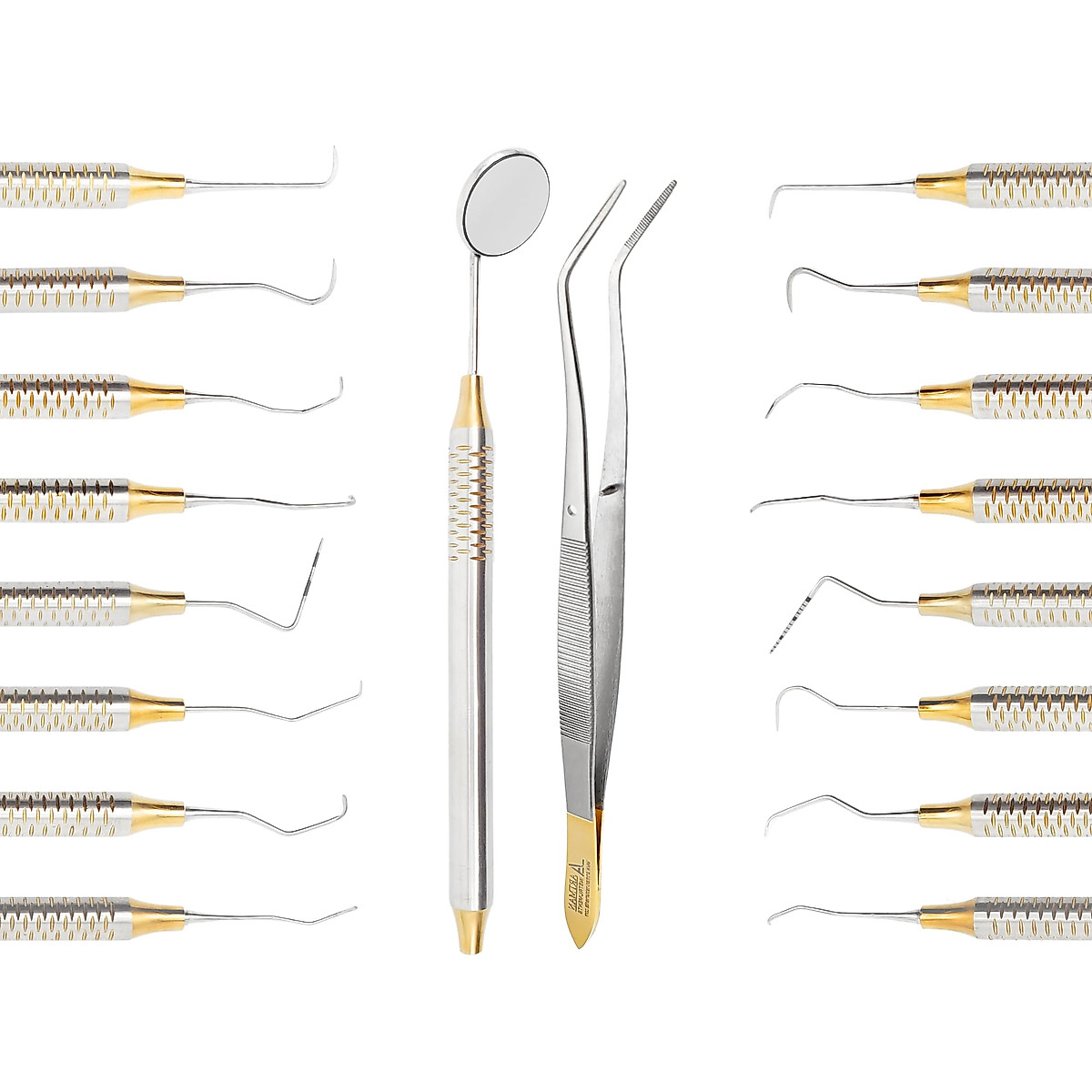 ARTMAN INSTRUMENTS Dental Hygienist Tool Kit (10 PCs) – Includes Mirror, Probe, Tweezer, Scalers, Pocket Probe, Curettes – Prophylaxis Teeth Cleaning Set, Autoclavable, with Sterilization Cassette