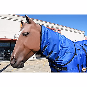 HILASON 1200D Waterproof Winter Horse Blanket Neck Cover Belly Wrap | Horse Blanket | Horse Turnout Blanket | Horse Blankets for Winter | Waterproof Turnout Blankets for Horses