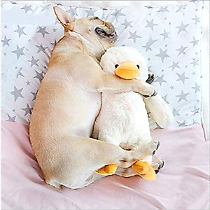 HOOPET Plush Duck Dog Toy - Large Squeaky Soft Pillow Snuggle Cuddle Puppy Toy for Big, Medium & Small Breed Dogs