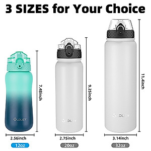 OLDLEY Insulated Water Bottle 12oz Kids Water Bottles with Straw, Stainless Steel Water Bottle with 2 Lids,Double Wall Vacuum Bottle, Leak-Proof Sport Bottles for School Travel, Caribbean Blue