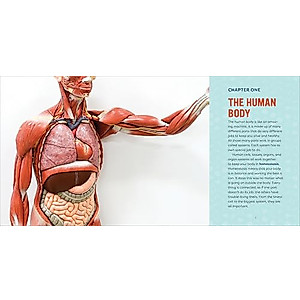 Human Anatomy for Kids: A Junior Scientist's Guide to How We Move, Breathe, and Grow