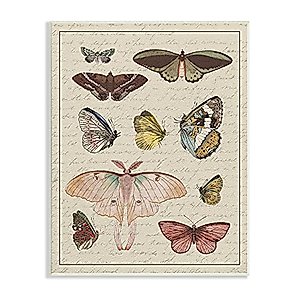 Stupell Industries Vintage Moth and Butterfly Wing Study Over Script, Designed by Daphne Polselli Wall Plaque, 10 x 15, Multi-Color