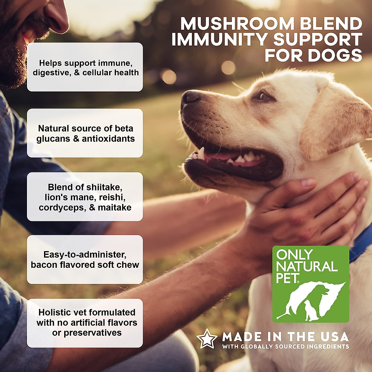 Only Natural Pet Mushroom Blend Immune System Support Supplement for Dogs - Boost Healthy Cellular, Digestive, & Liver Function - Multivitamin Beta-Glucan & Antioxidant - Bacon Flavor 60 Soft Chews