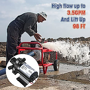 12V Diaphragm Water Pump with Pressure Switch, 3.5 Gpm 45 Psi 12 Volt Pump Self Priming with 50 Mesh Strainer Filter And 2 Hose Clamps, Automatic Water Pump for RV, Garden Hose Booster, Sprayer