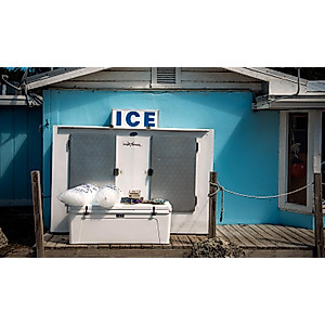 YETI Tundra 250 Cooler, White