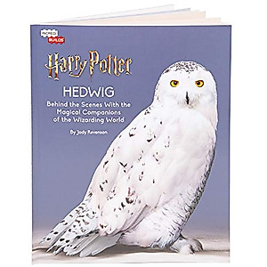 Harry Potter Hedwig 3D Wood Puzzle & Model Figure Kit (24 Pcs) - Build & Paint Your Own 3-D Movie Toy - Holiday Educational Gift for Kids & Adults, No Glue Required, 8+ 