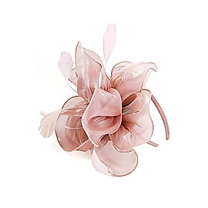 Gionforsy Kentucky Derby Hat Fascinator Veil Fascinator Headband Lace Gloves Imitation Pearl Necklace Earrings Feather Pillbox Fascinator for Wedding Tea Party (Style 6-Pink)