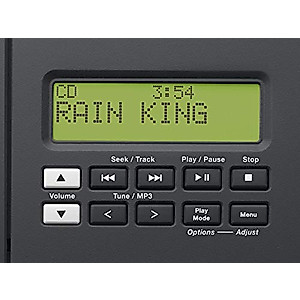 Bose Acoustic Wave Music System II - Graphite Grey (Renewed)