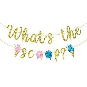 What's The Scoop Banner, Ice Cream Gender Reveal Banner, Baby Shower Decorations