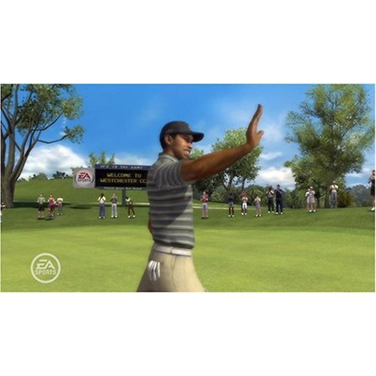 Tiger Woods PGA Tour 08 - Playstation 3 (Renewed)