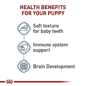 Royal Canin Size Health Nutrition X-Small Puppy Thin Slices in Gravy Wet Dog Food, 3 oz can 12-Pack