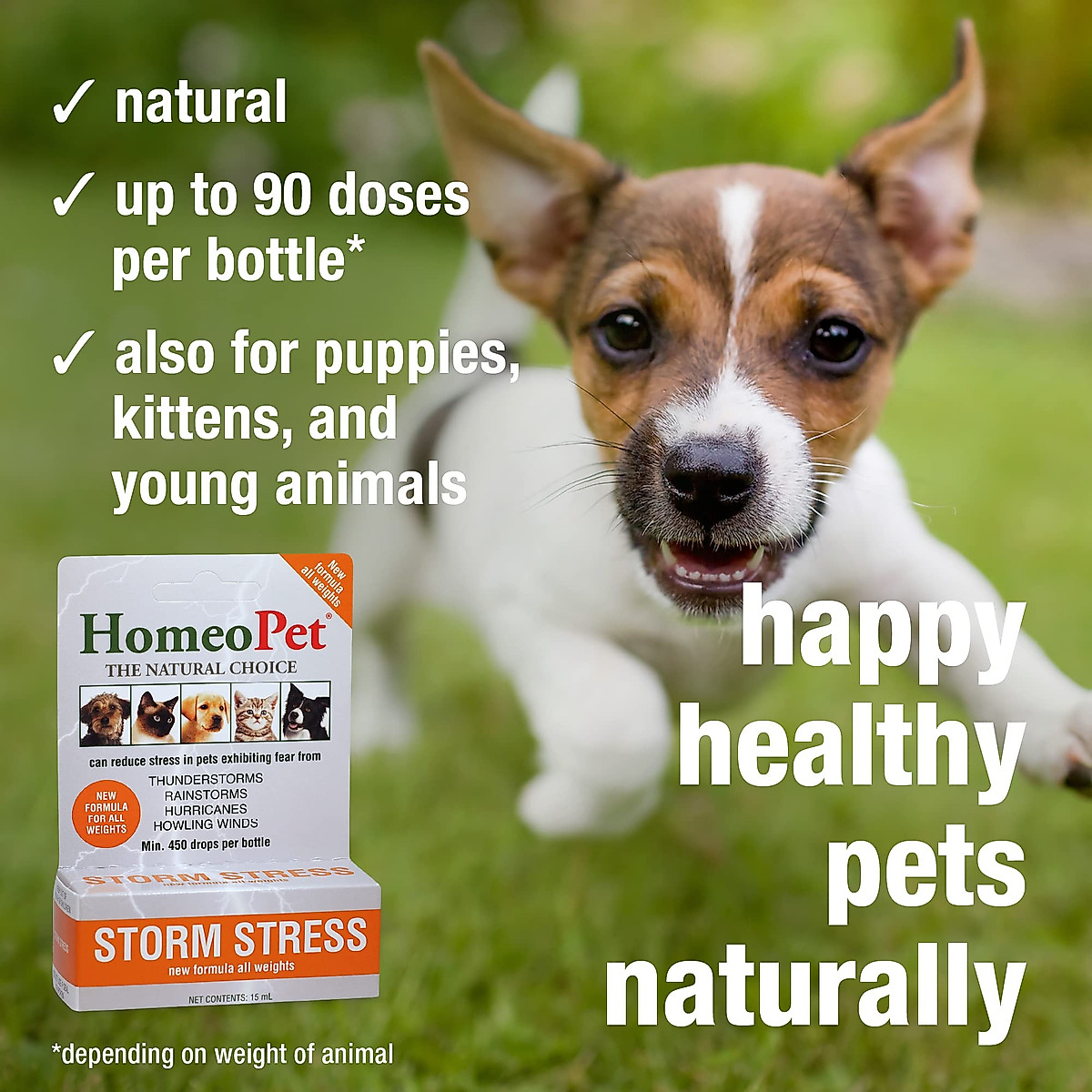 HomeoPet Storm Stress, Storm Anxiety Relief for Dogs, Cats, and Other Small Animals, 15 Milliliters