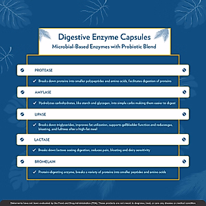 TERRA ORIGIN - Digestive Enzymes with Probiotics | Supports Healthy Digestion | Bromelain, Lactase, Amylase, Lipase | Made in The USA, Gluten-Free | 60 Servings