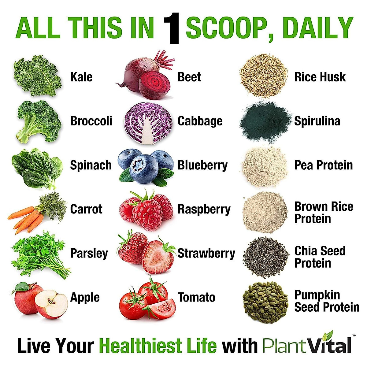 Plantvital Unflavored Organic Vegan Protein Powder - 15 Superfoods, Veggies and Probiotics - Organic Plant-Based Protein Powder - All BCAA’s, Gluten Free - 16oz -1 Pouch