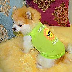 Dog Clothes Medium Size Dog Female Cat Clothes Vest Shirt Summer Shirt Puppy Small Pet Clothes Doggy Clothes for Small Dogs Girl