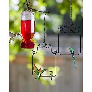 Wild Bird Swings and Perches Metal Frame 2 Pack Large