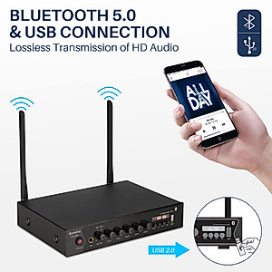 Wireless Microphone System UHF Dual Cordless Handheld Microphones Set for Home Karaoke, Singing, Speech, Party, Meeting, Church, 262ft Range (Black (w Battery))