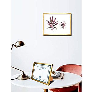 Annecy 8.5x11 Picture Frames (4 Pack, Gold), Composite Wood Photo Frame 8.5x11 for Wall or Table Display, Classic Simple Home Office Decor