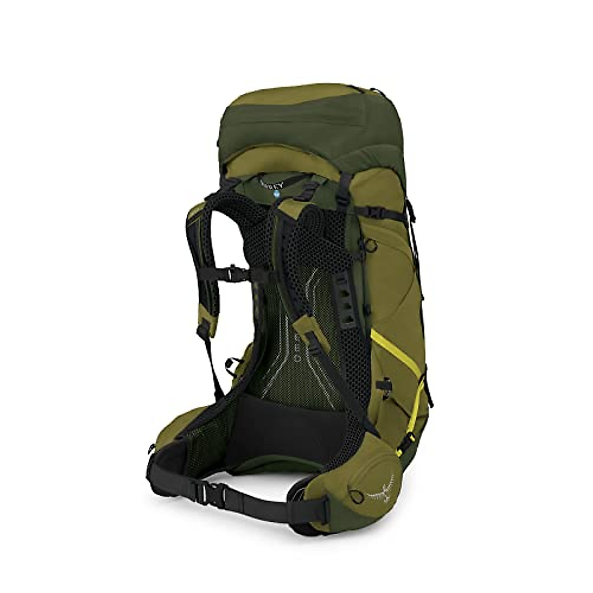 Osprey Atmos AG LT 50L Men's Backpacking Backpack, Scenic Valley/Green Peppercorn, L/XL