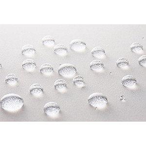 Pal Fabric Outdoor Patio Backyard Beach Water Resistant Square Sham Pillow Stuffer Insert Made in USA (Set of 4-20x20)