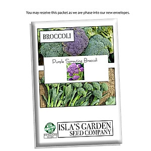 Purple Sprouting Broccoli Seeds, 500+ Heirloom Seeds Per Packet, (Isla's Garden Seeds), Non GMO Seeds, Botanical Name: Brassica oleracea, 85% Germination Rates